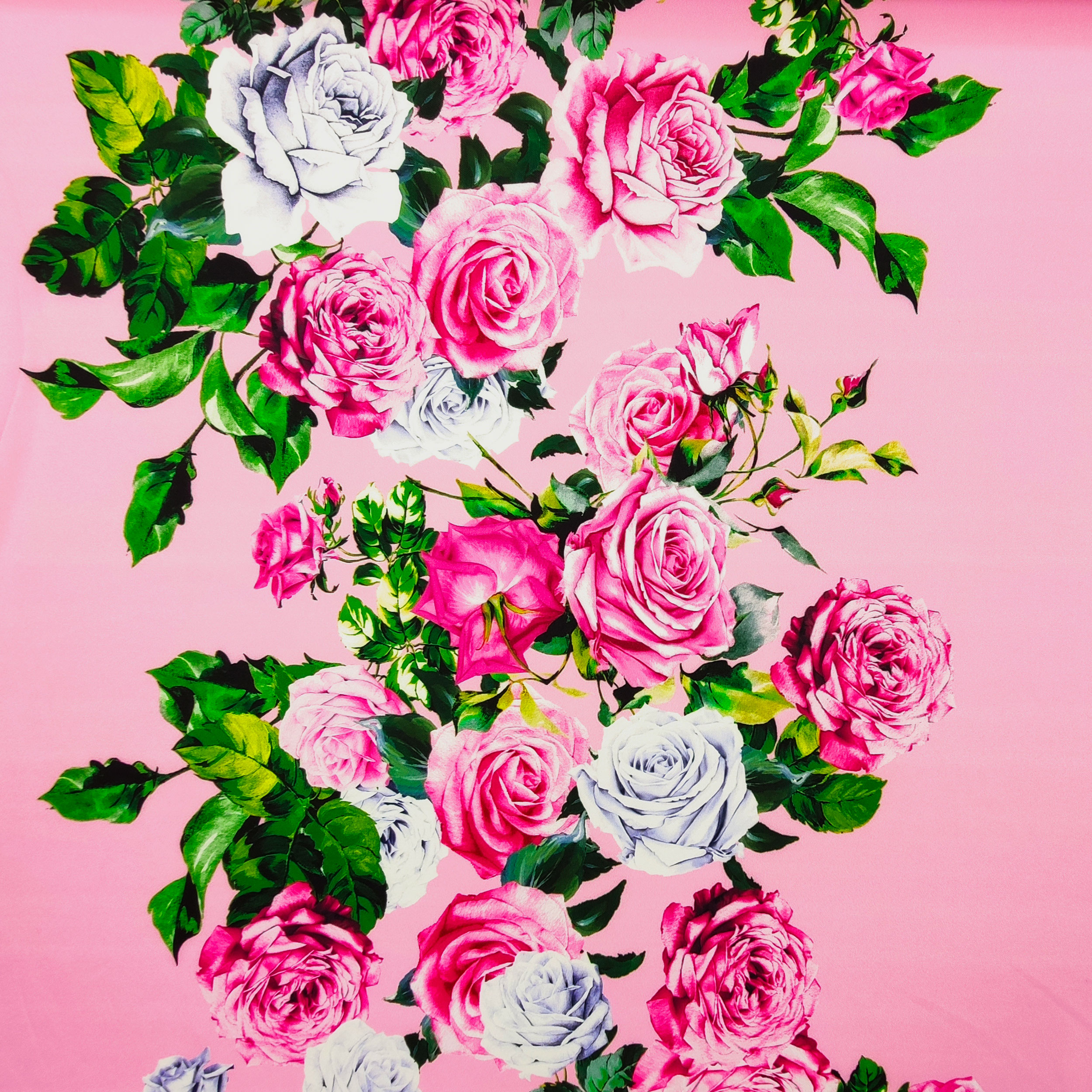 Tessuto Maglina con Fantasia Doppio Bordo Rose