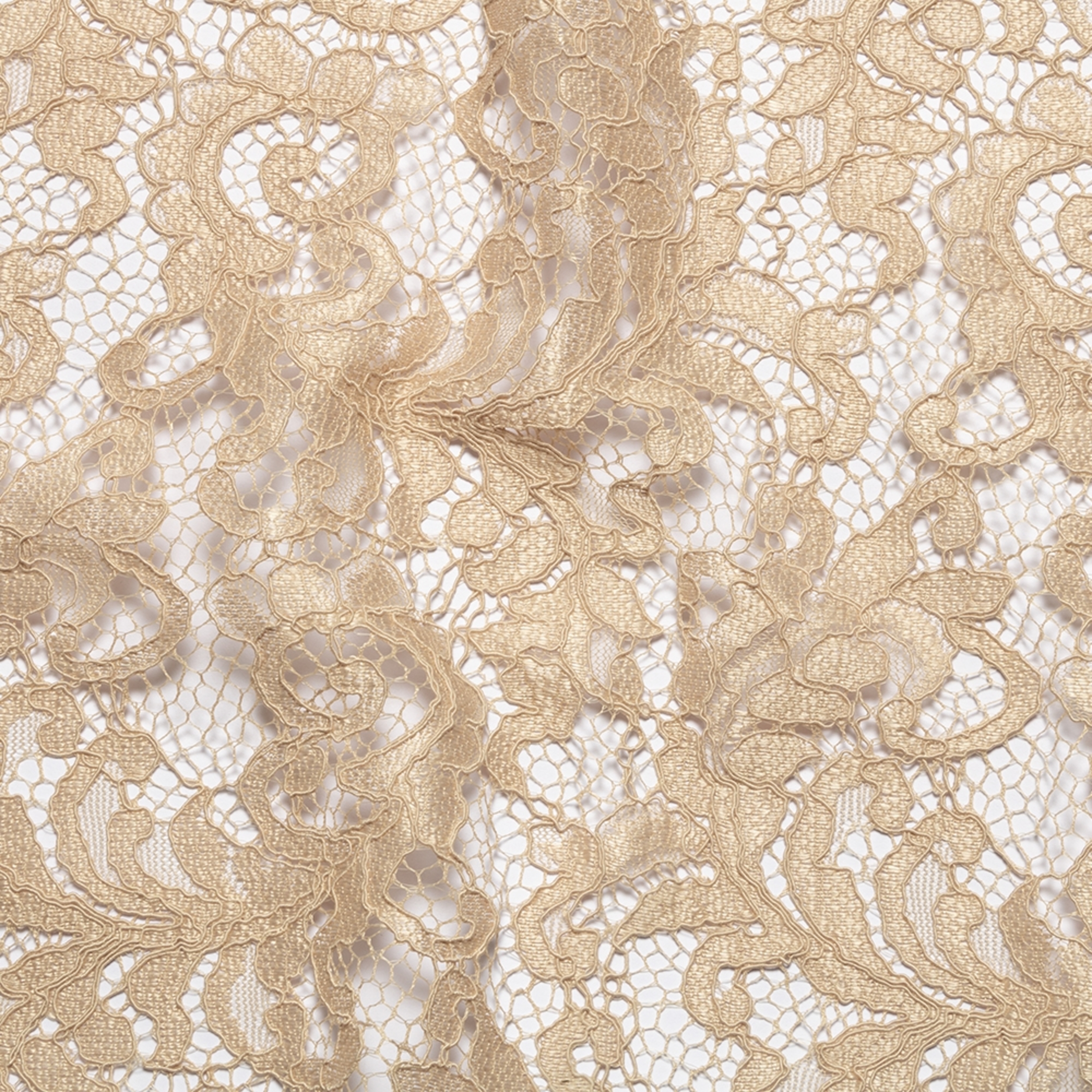 Pizzo Micky Violetto | Panini Tessuti