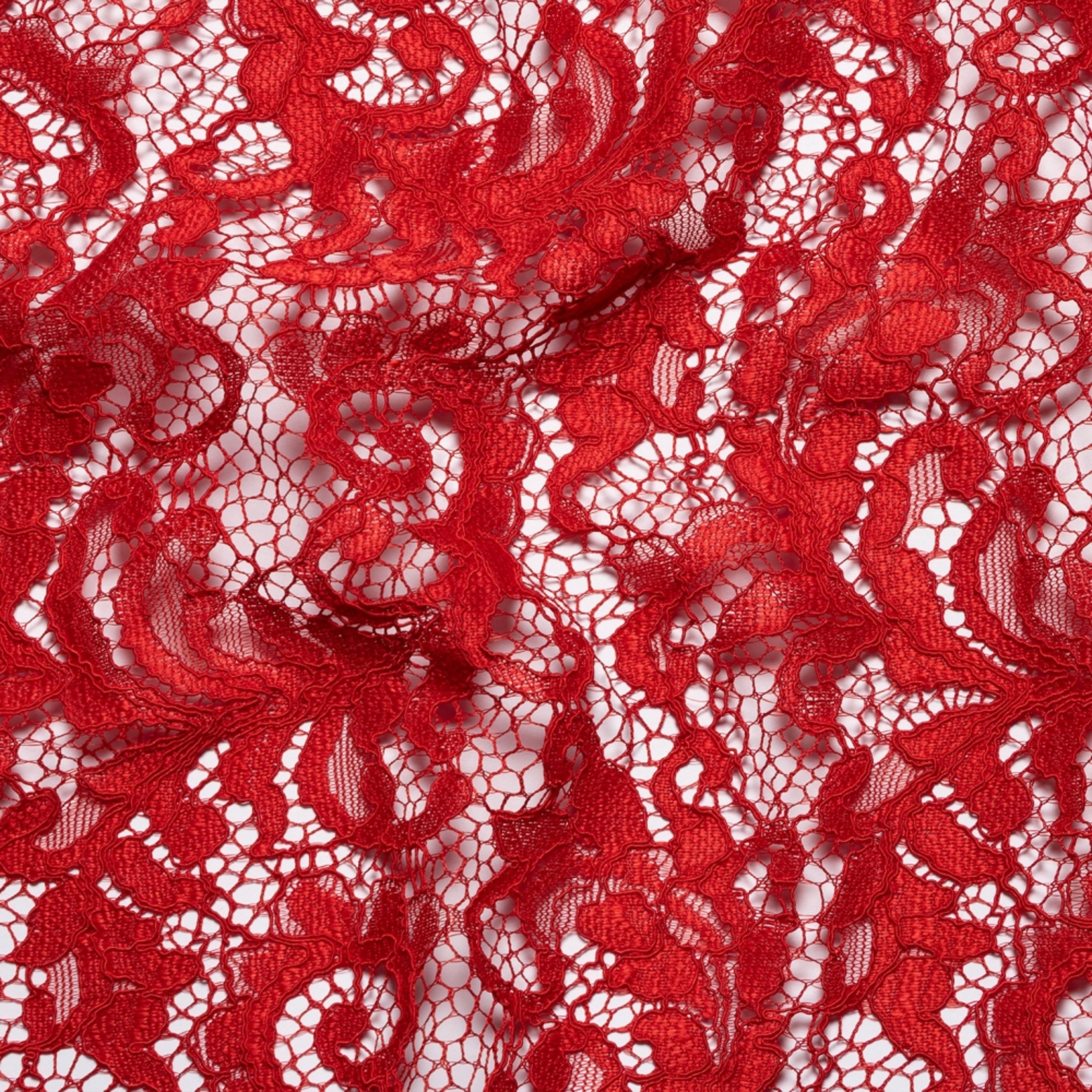 Pizzo Micky Violetto | Panini Tessuti