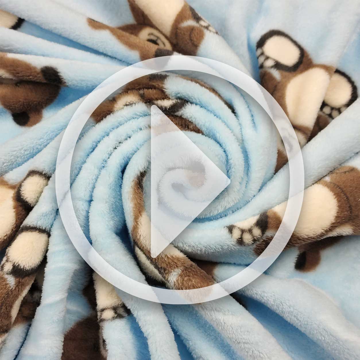 Pile Orsetti Sfondo Azzurro | Panini